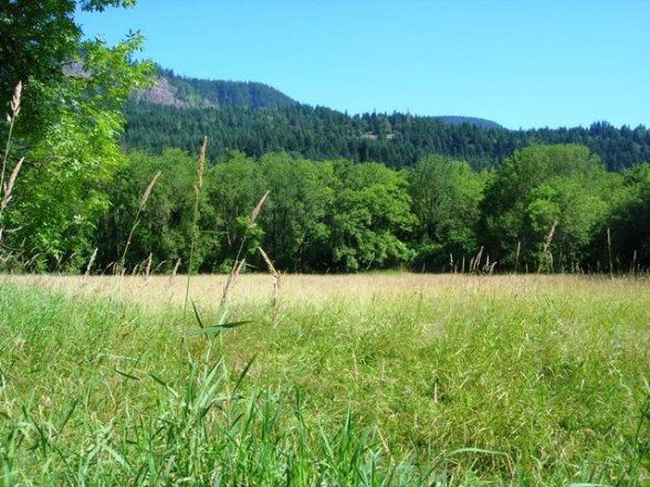 TWILIGHT FILMING LOCATION Twilight Baseball Field – Twilight Girl