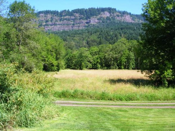 TWILIGHT FILMING LOCATION Twilight Baseball Field – Twilight Girl